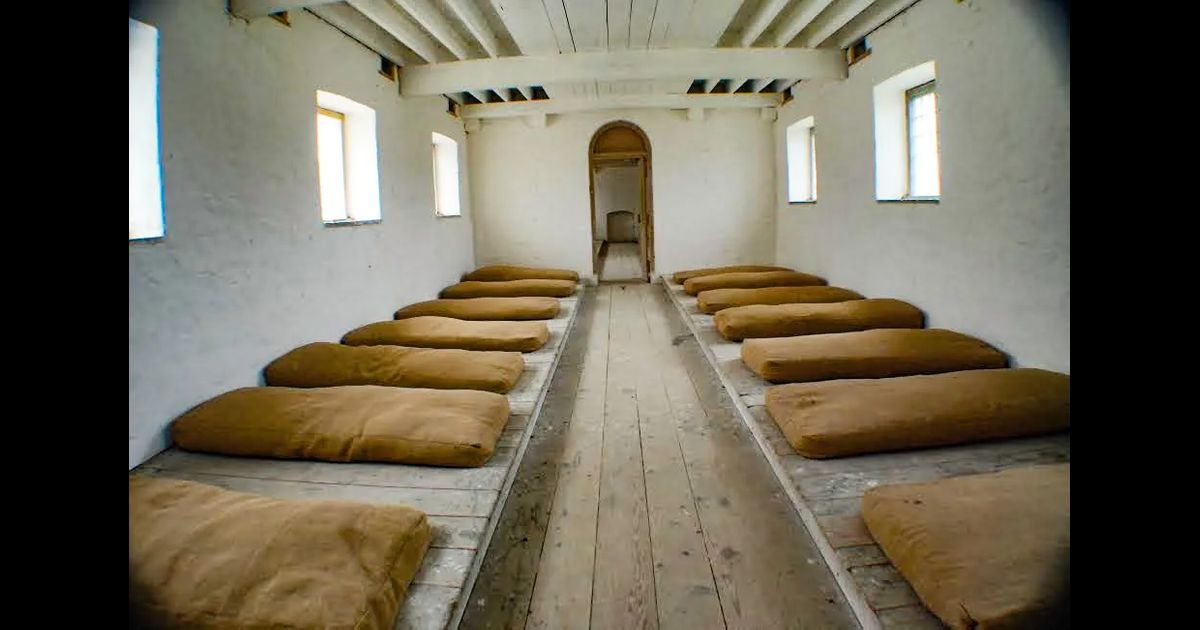 Irish Workhouses Suffering and Survival