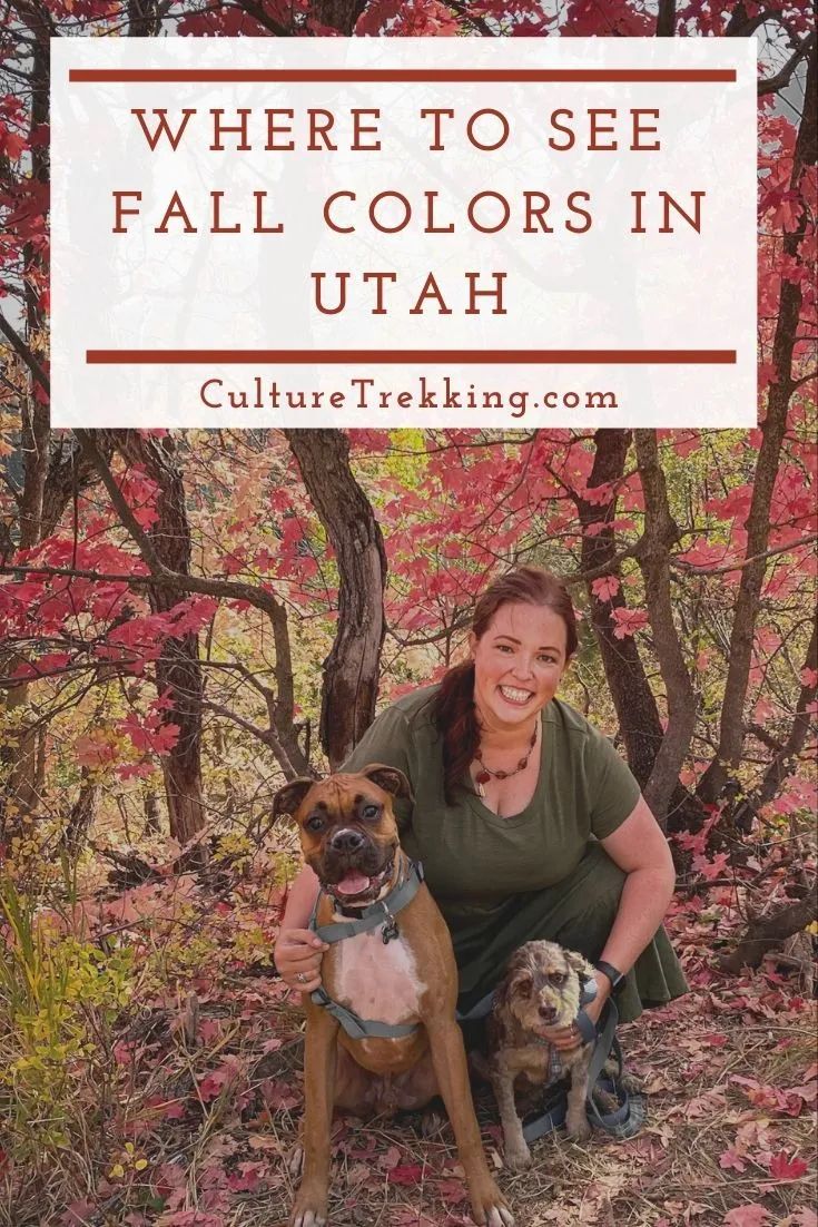 Best Places To See Fall Colors in Utah (A Local's Guide)