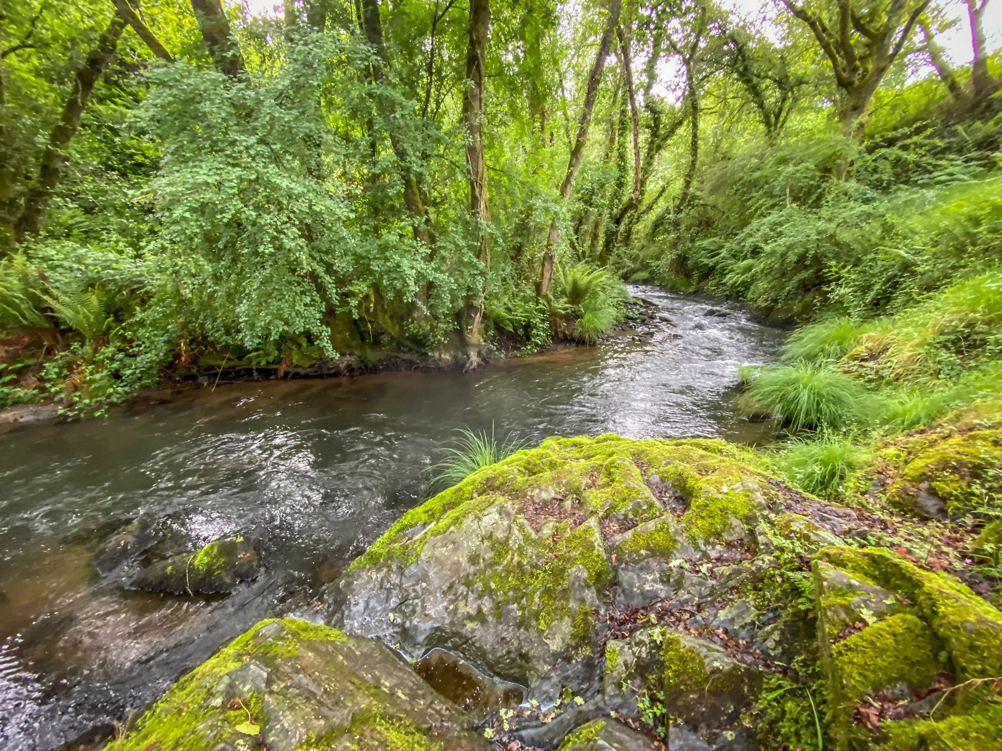 Things to do Arzúa Spain