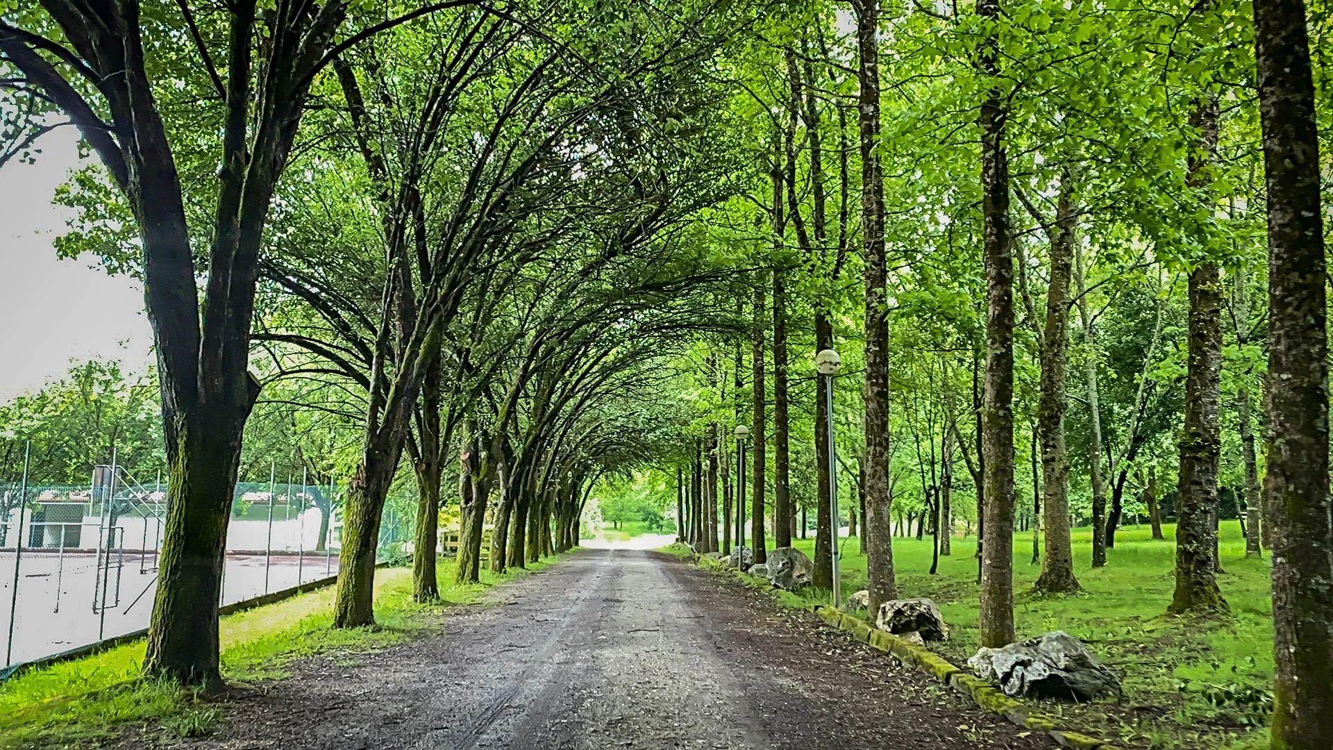 Things to do Arzúa Spain