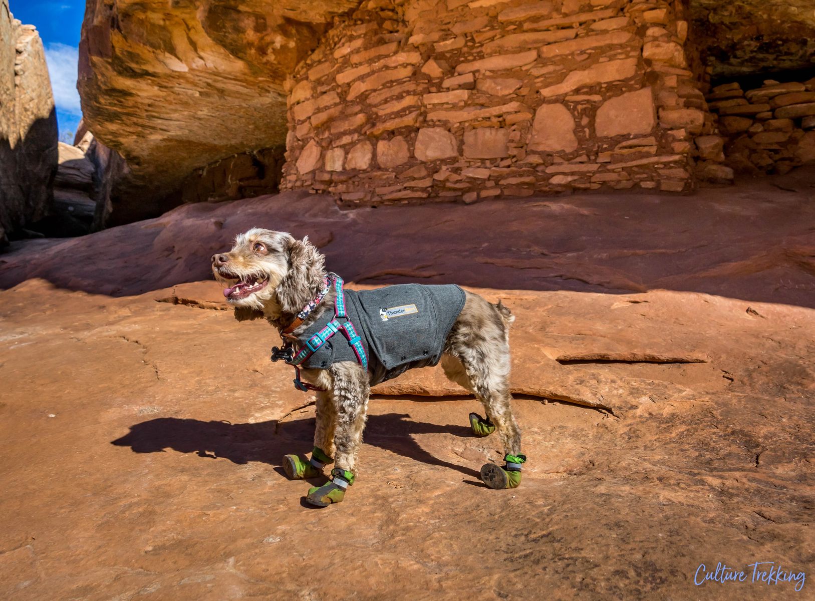 Things To Do In Blanding Utah (Local's Guide)