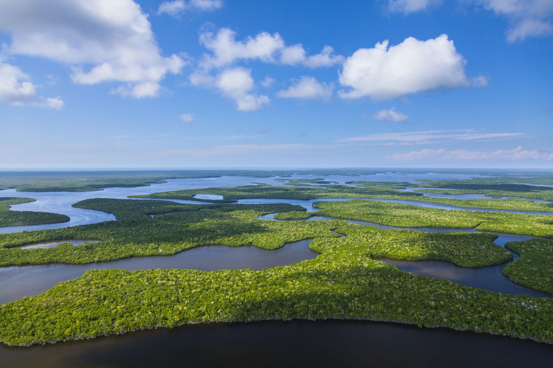 The 22 Best Day Trips From Orlando Florida