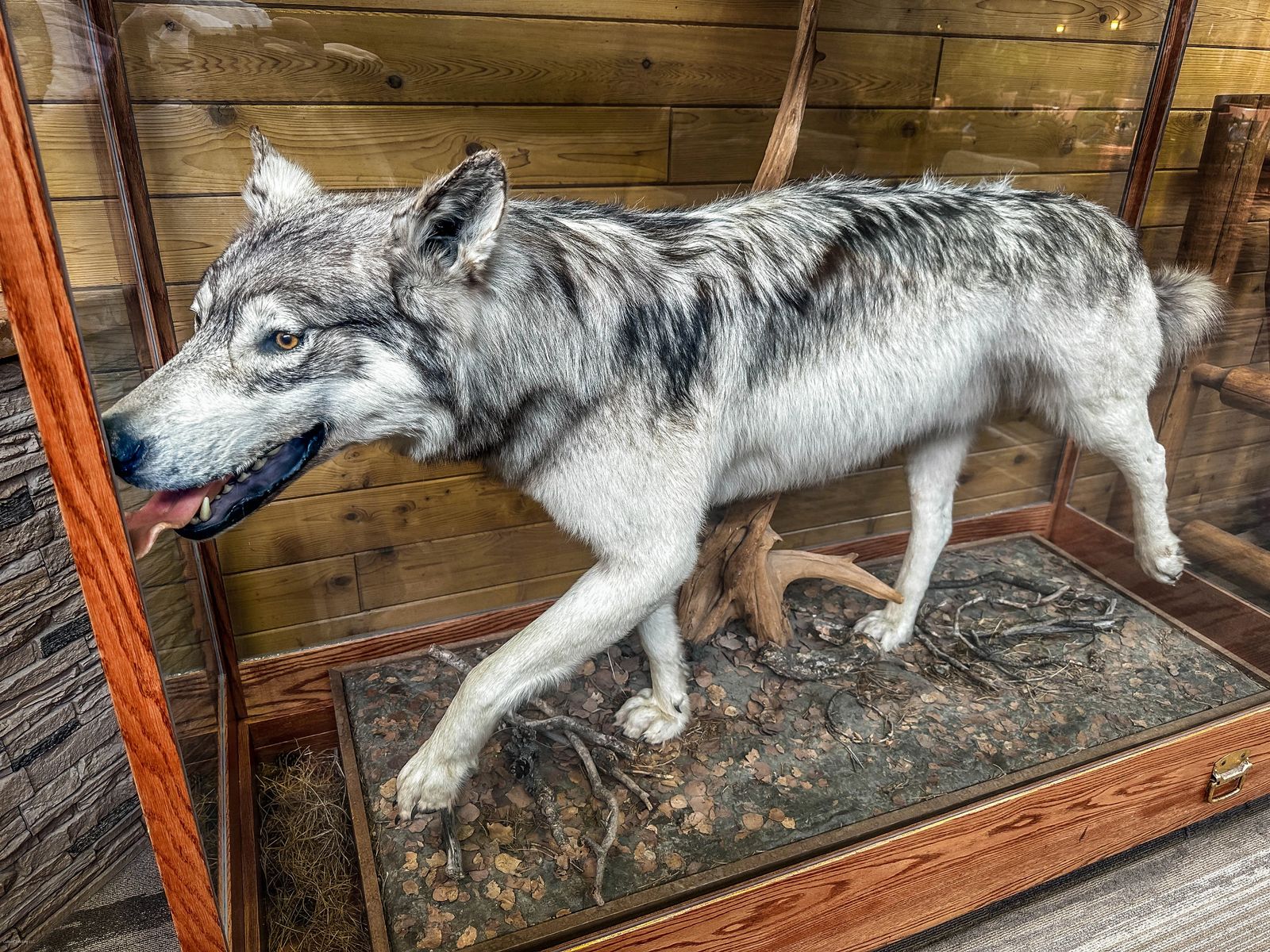 Things To Know Before Visiting Banff