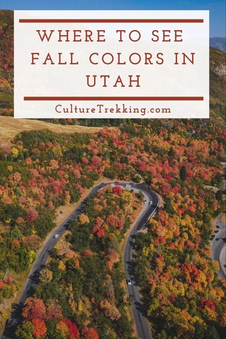 Best Places To See Fall Colors in Utah (A Local's Guide)