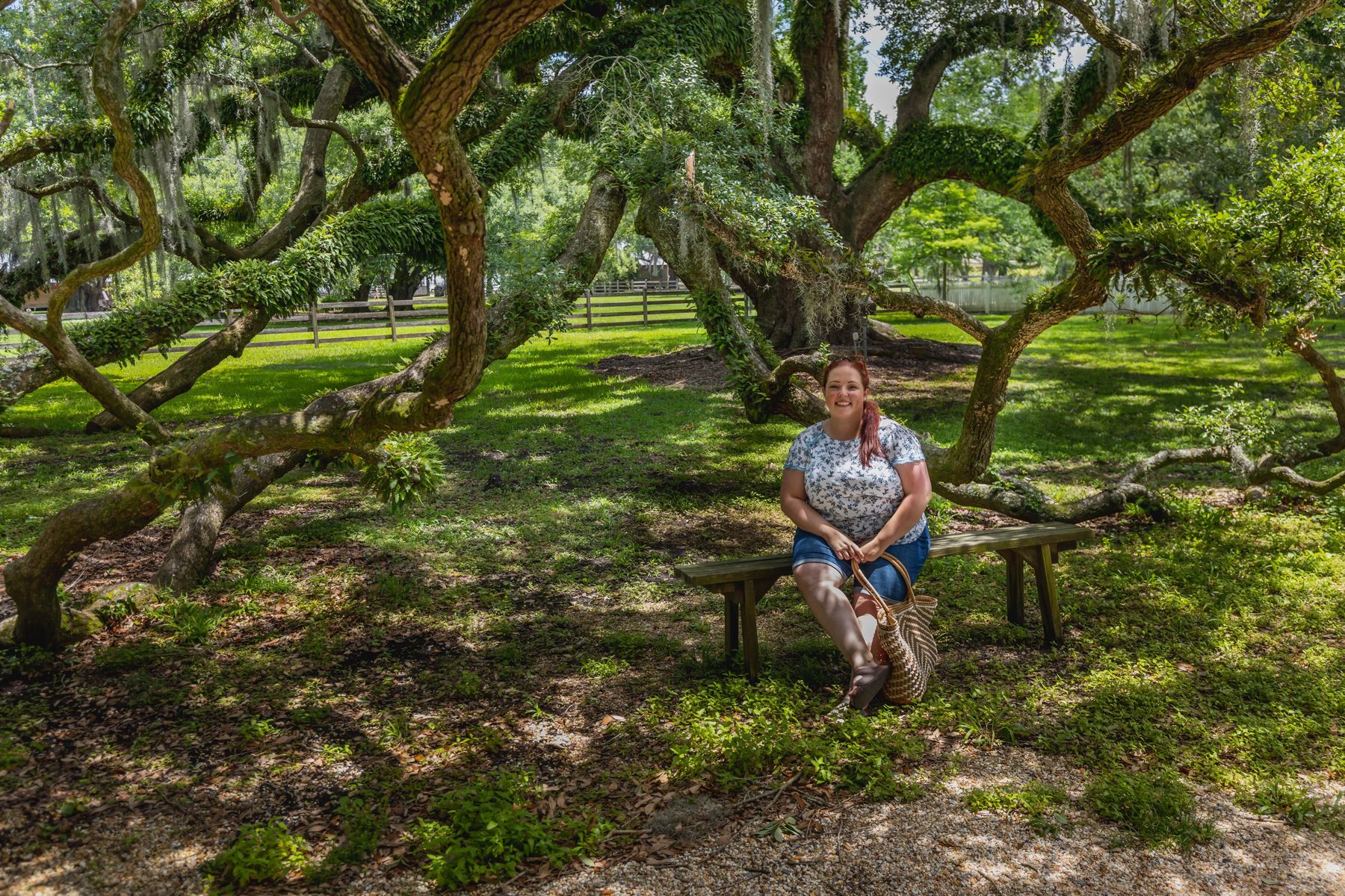 Destrehan Plantation Tour Near New Orleans