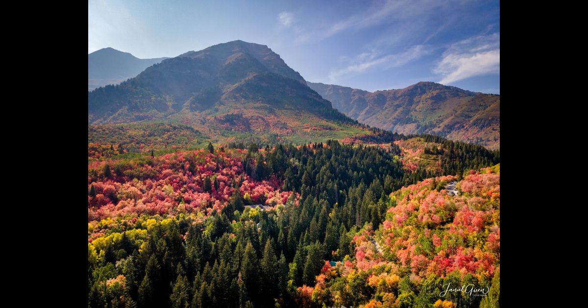 Best Places To See Fall Colors in Utah (A Local's Guide)