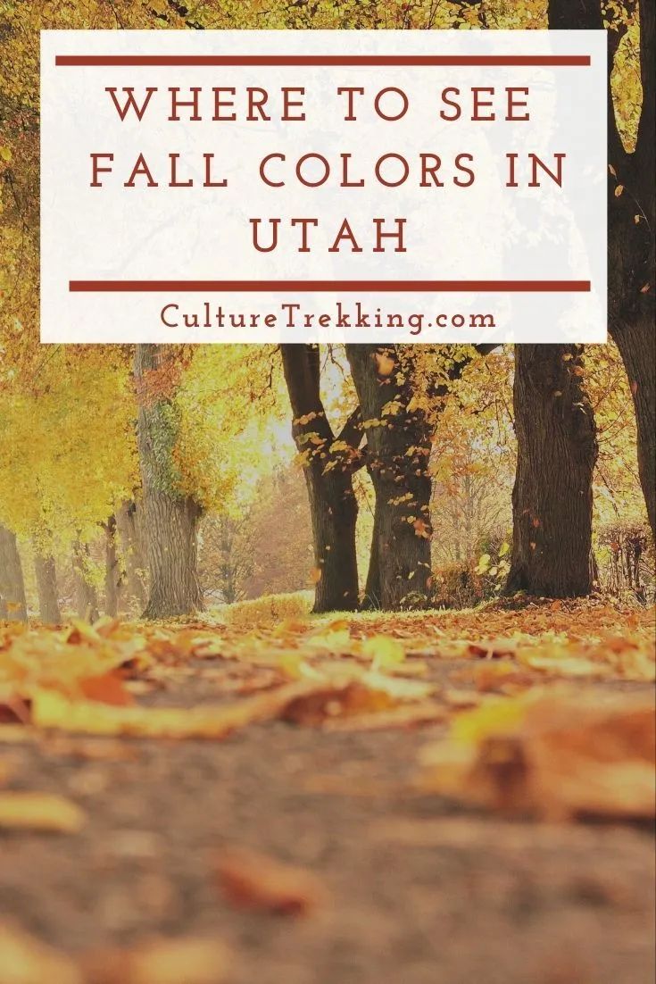 Best Places To See Fall Colors in Utah (A Local's Guide)