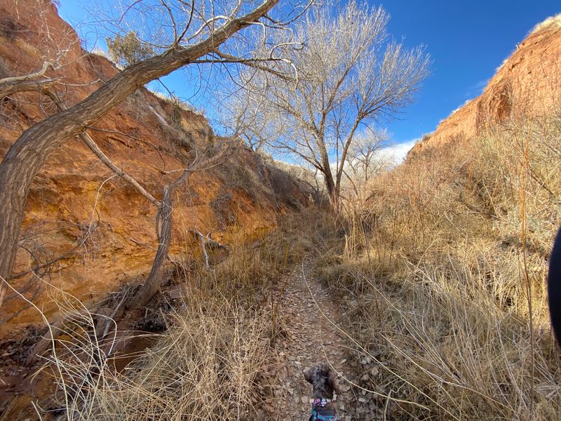 Things To Do In Blanding Utah (Local's Guide)