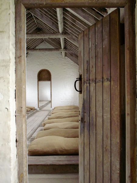 Irish Workhouses Suffering and Survival