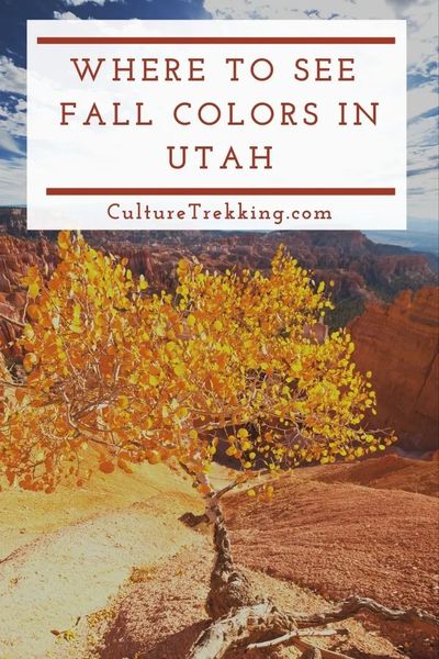 Best Places To See Fall Colors in Utah (A Local's Guide)
