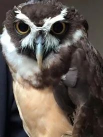 Unique Things to do in Dallas Texas (from a Local)