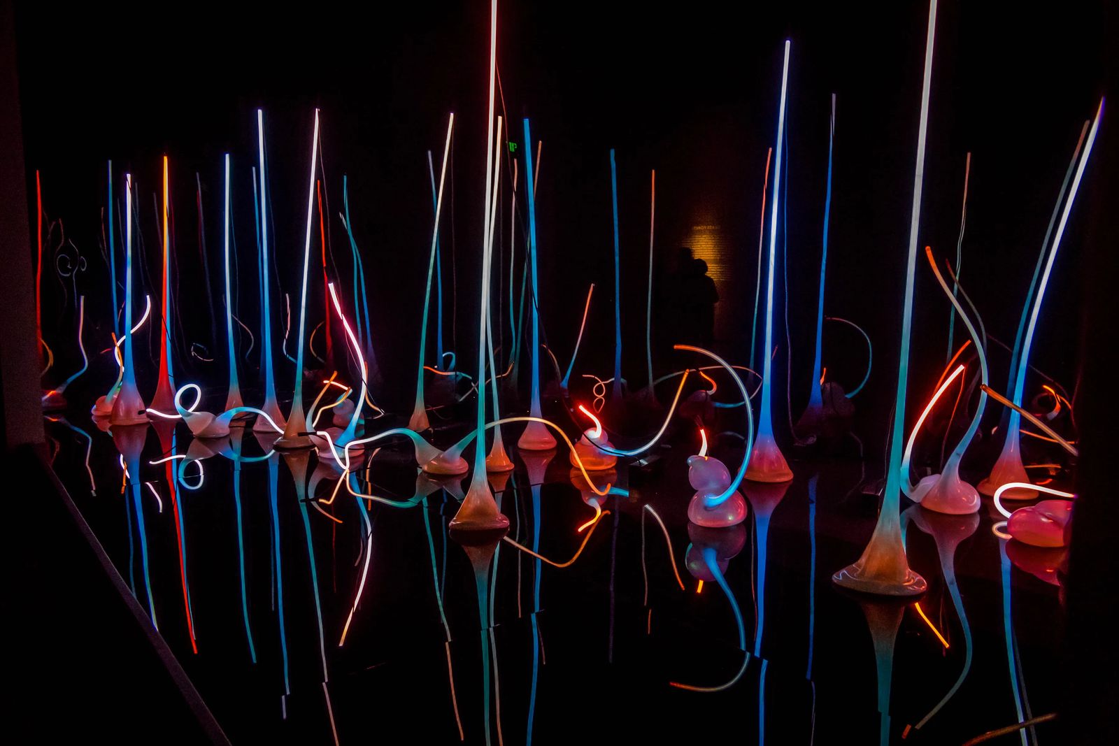 The Ultimate Guide to One Day In Seattle