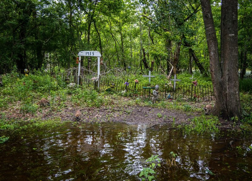 Cajun Pride Swamp Tours in Louisiana