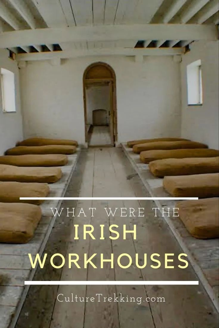 Irish Workhouses Suffering and Survival