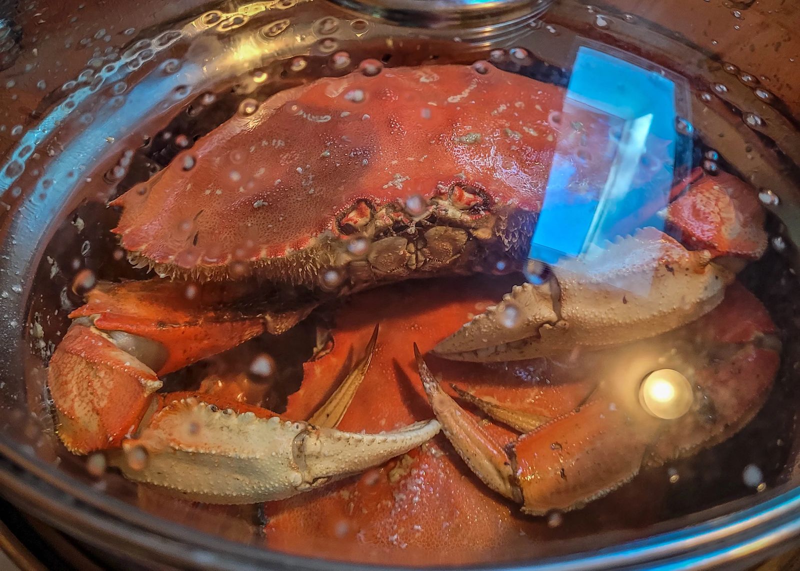 Crabbing On The West Coast With Family