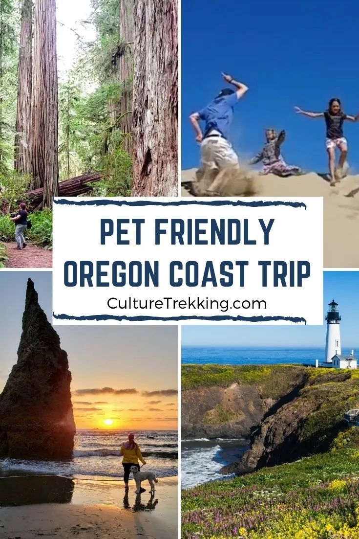 The Ultimate Pet Friendly Oregon Coast Guide