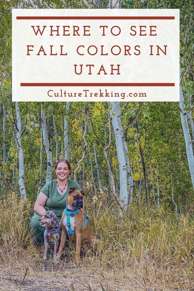 Best Places To See Fall Colors in Utah (A Local's Guide)
