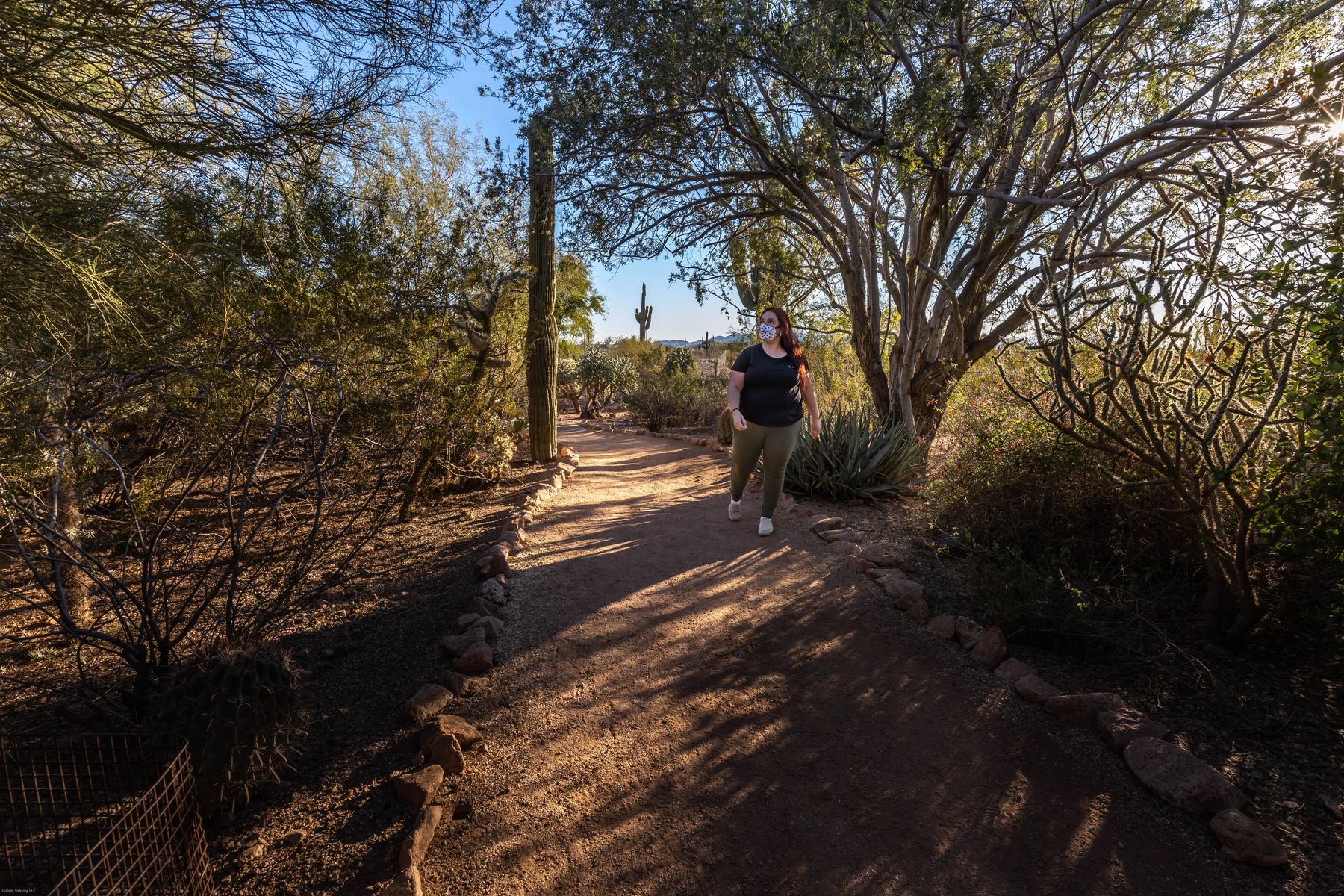 Things To Do In Downtown Phoenix in 48 Hours