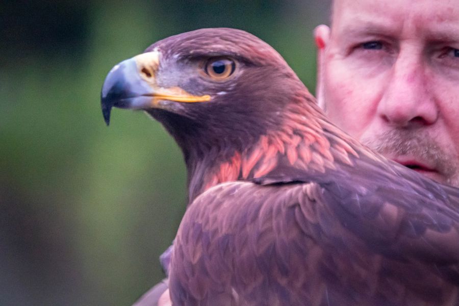 Visiting Dunrobin Castle on the NC500