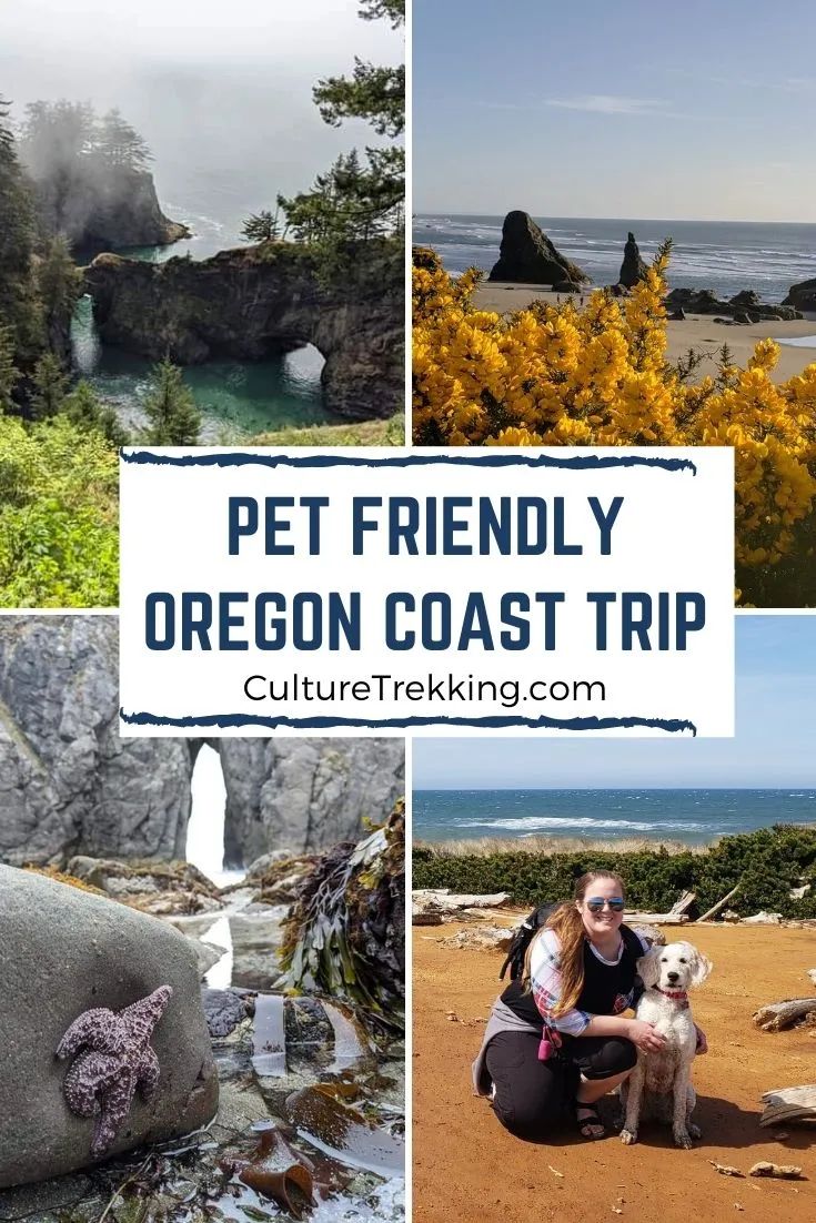 The Ultimate Pet Friendly Oregon Coast Guide
