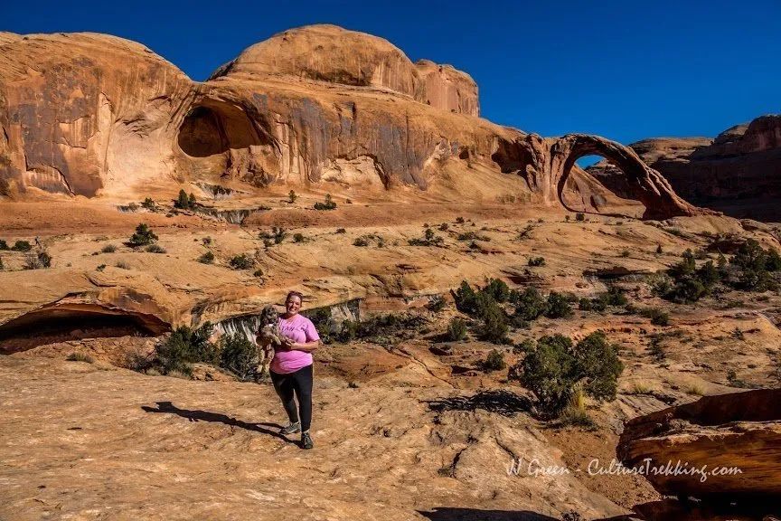 8 Beautiful Hikes in Moab for Dogs (A Local's Guide)
